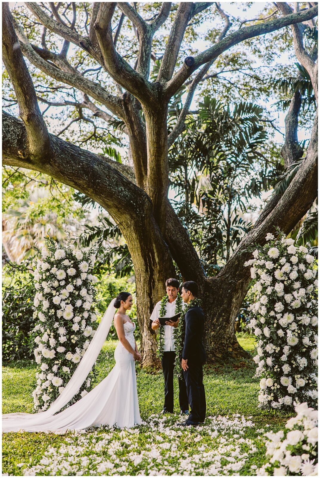 Grayson and Amanda | Kauai Wedding at the National Tropical Botanical ...